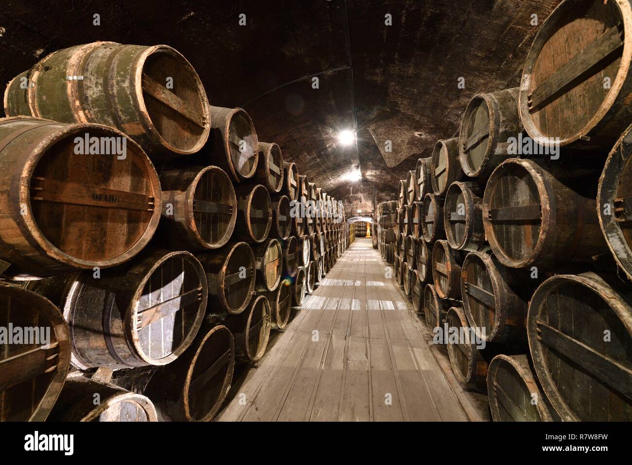France, Charente, Cognac, Valois castle, Musee du Cognac, Otard Cellars ...
