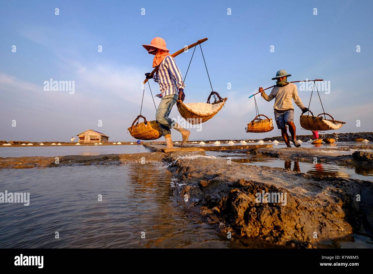 Cambodia, Kampot province, Kampot, salt pond, harvesting salt Stock ...