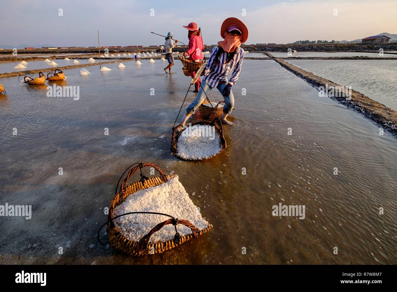 Cambodia, Kampot province, Kampot, salt pond, harvesting salt Stock ...