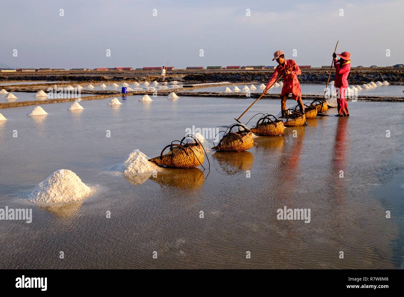 Cambodia, Kampot province, Kampot, salt pond, harvesting salt Stock ...