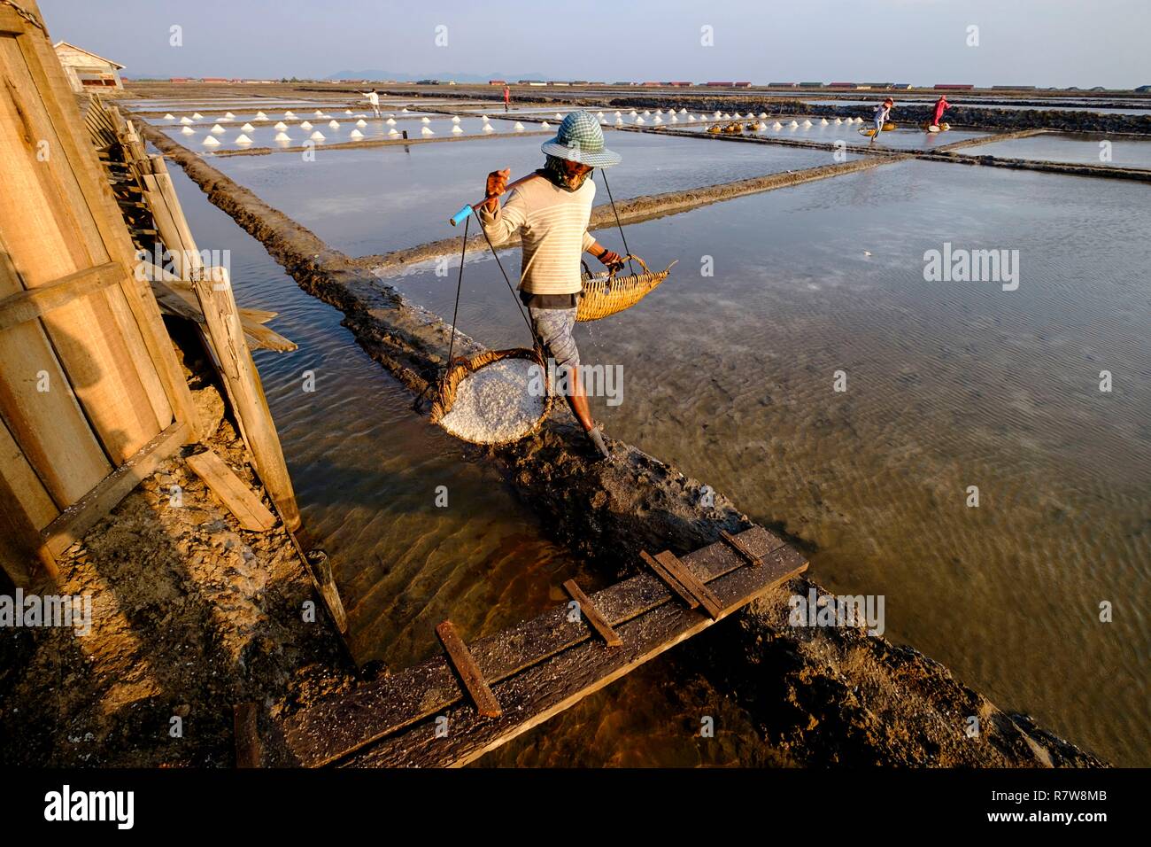 Cambodia, Kampot province, Kampot, salt pond, harvesting salt Stock ...