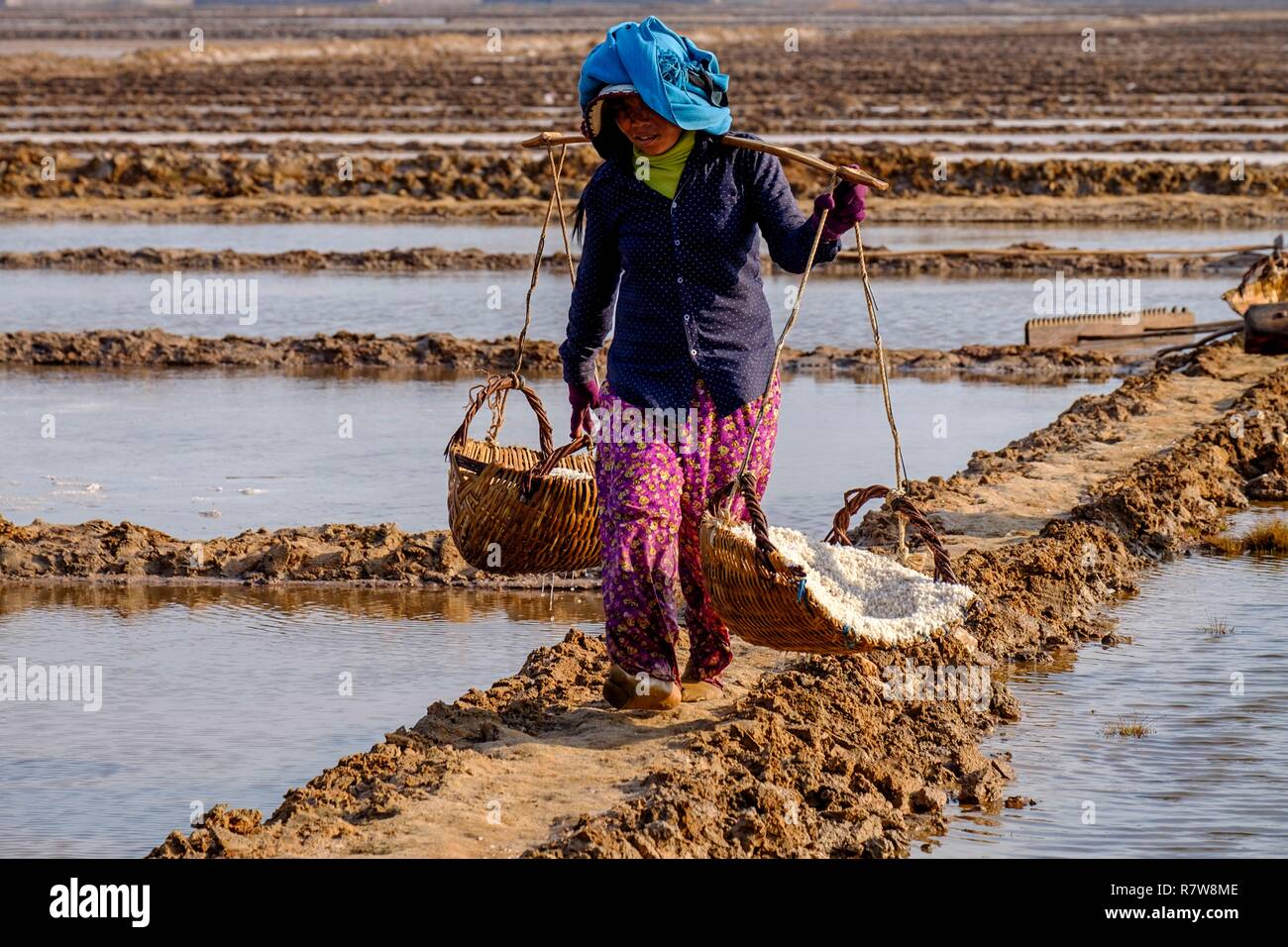 Cambodia, Kampot province, Kampot, salt pond, harvesting salt Stock ...