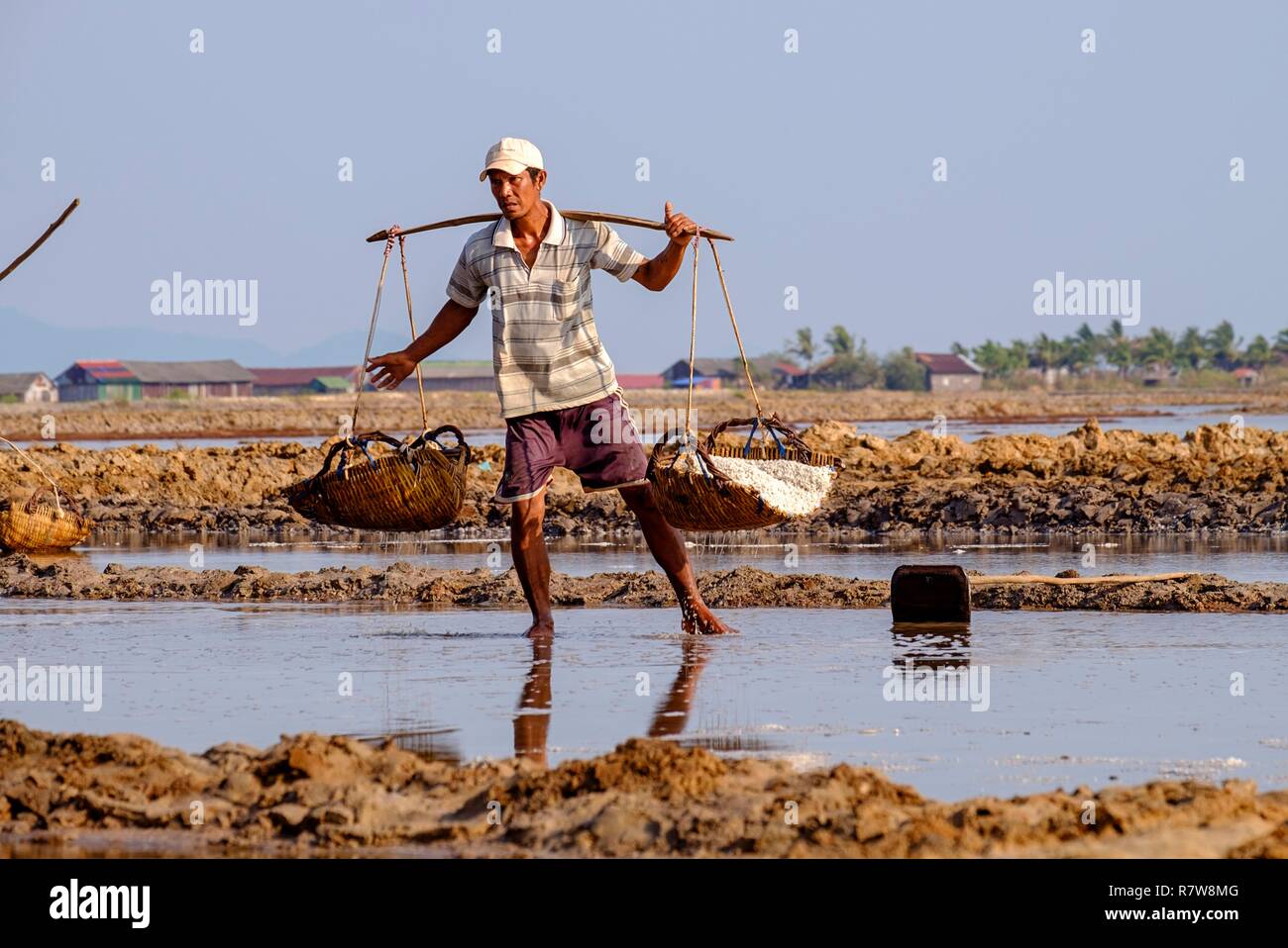 Cambodia, Kampot province, Kampot, salt pond, harvesting salt Stock ...