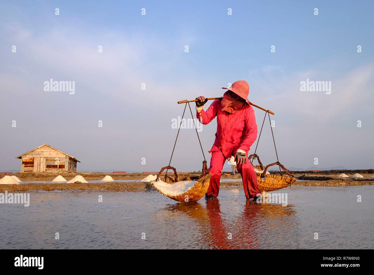 Cambodia, Kampot province, Kampot, salt pond, harvesting salt Stock ...