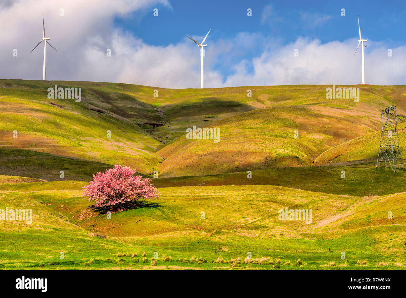 Present structures hi-res stock photography and images - Alamy