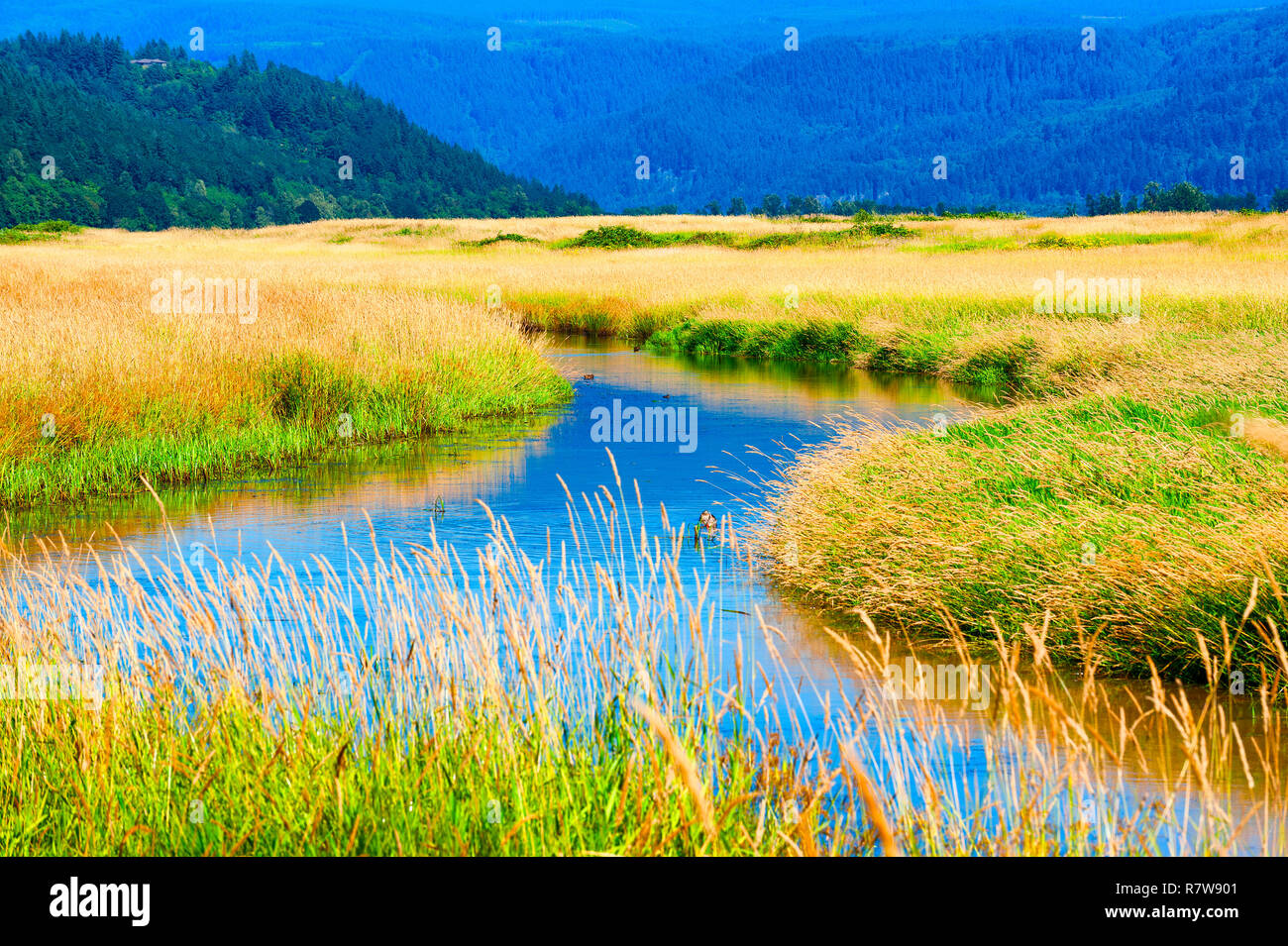 Washington pacific northwest clark county hi-res stock photography and ...