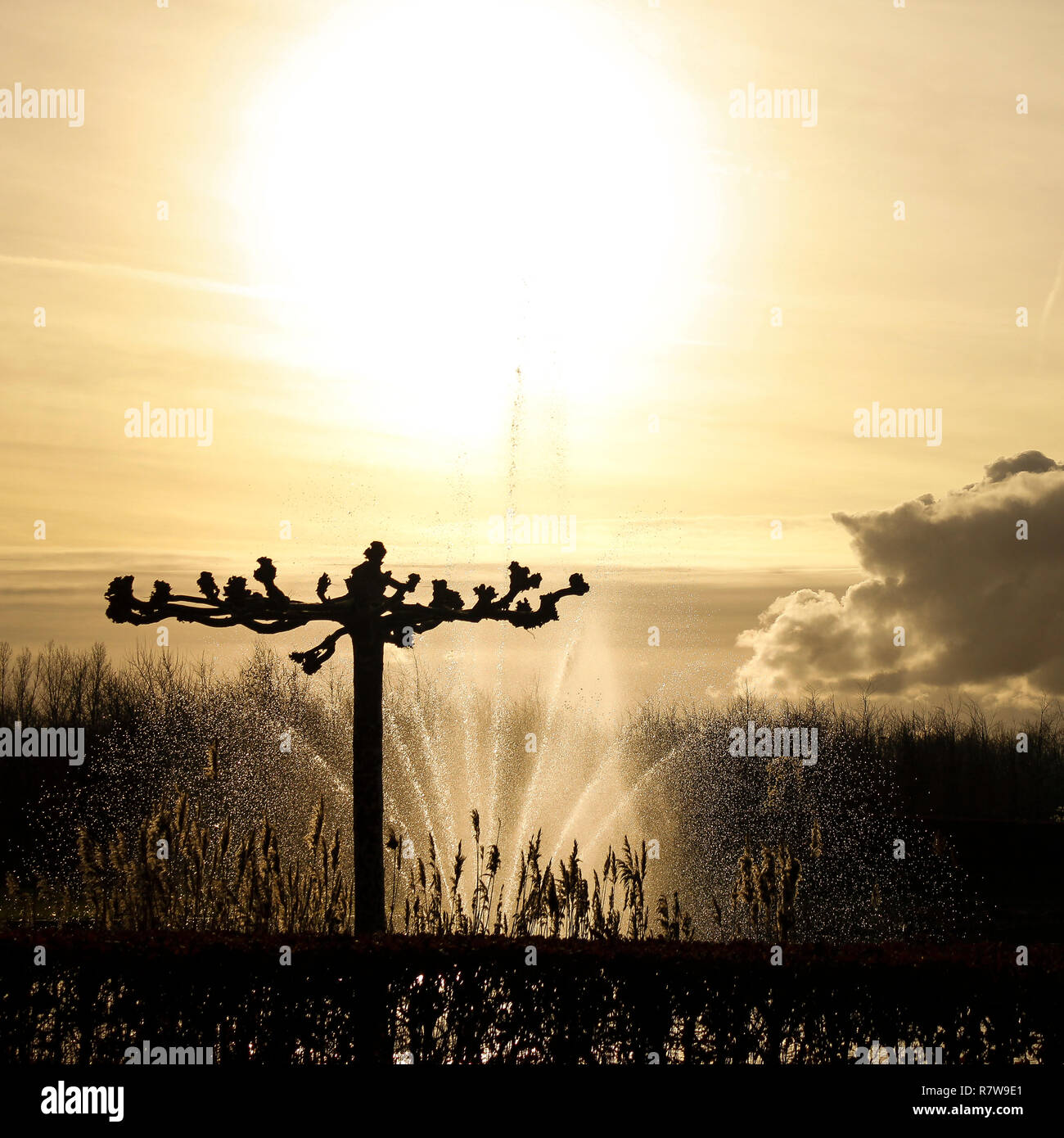 Sunset Kemphaan Almere Stock Photo - Alamy