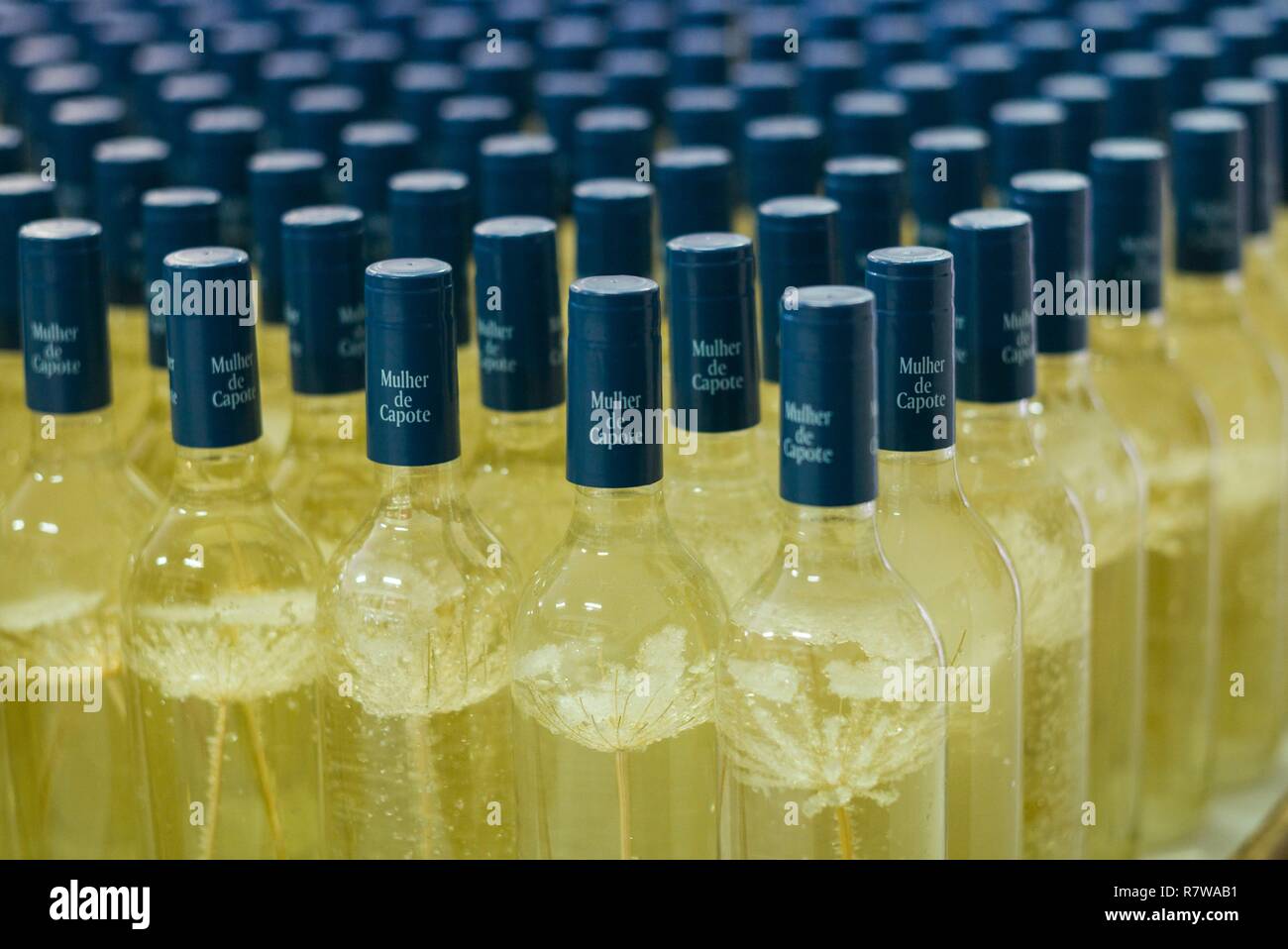 Portugal, Azores, Sao Miguel Island, Ribeira Grande, Mulher de Capote ...