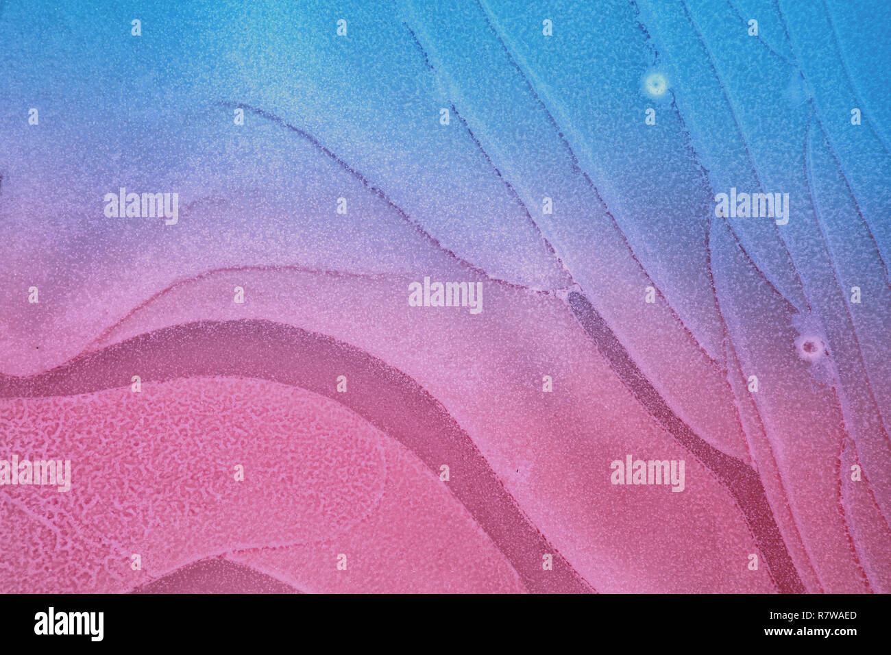 Natural abstract pattern on a frozen puddle. Nature background ...