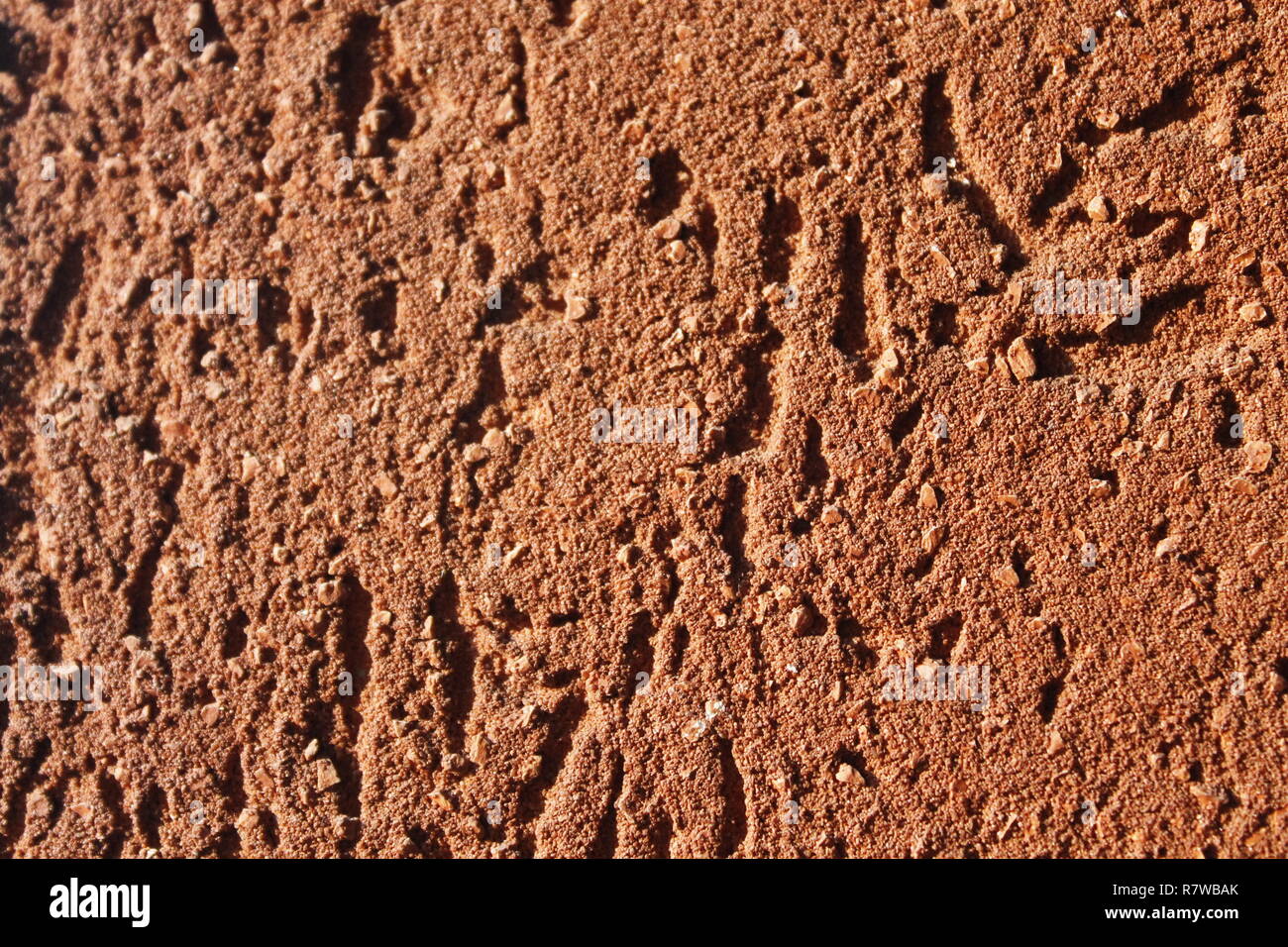 Concrete red wall texture background. Red abstract wall Stock Photo - Alamy