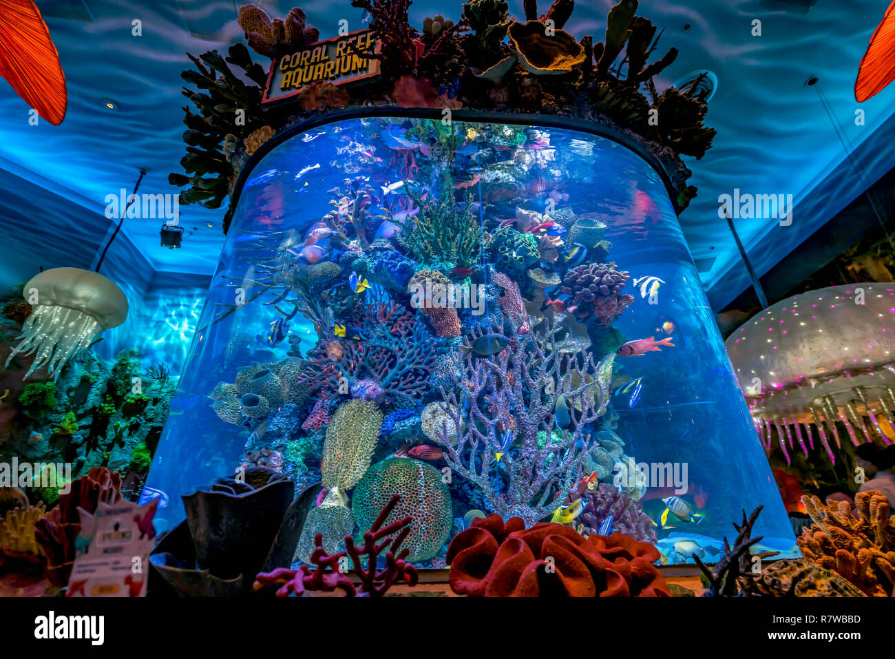 Orlando, Florida - December 2017: Colorful T-rex Restaurant Cafe with ...