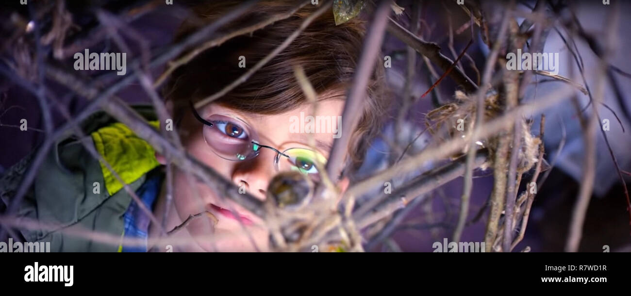 TINKER', Colt Crawford, 2018. © Gravitas Ventures / courtesy Everett ...