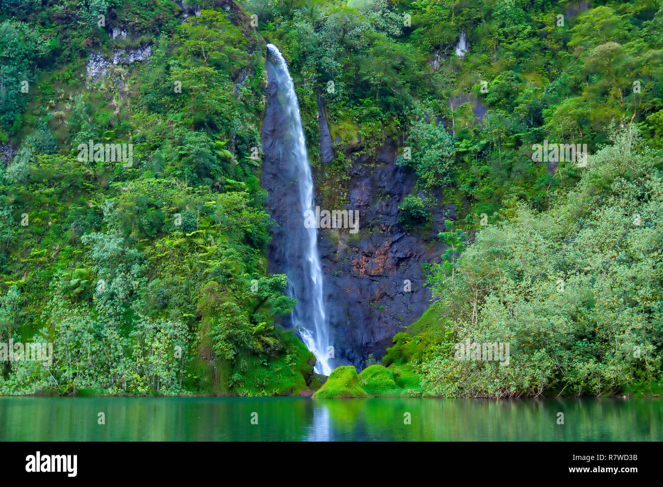 The valley of Papenoo, island of Tahiti, French Polynesia Stock Photo ...