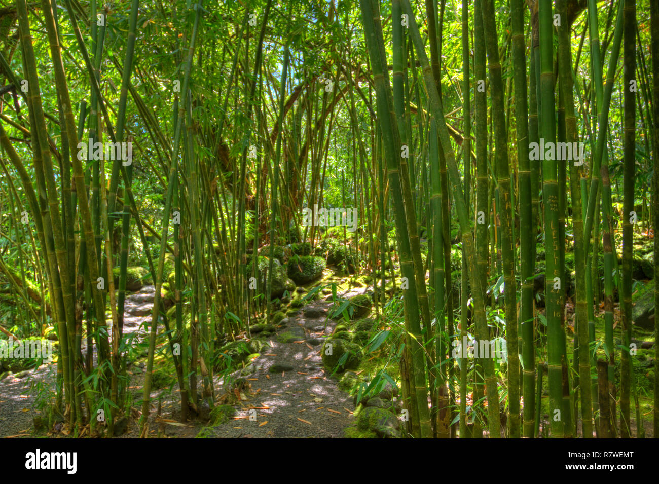 The valley of three waterfalls, island of Tahiti, French Polynesia ...