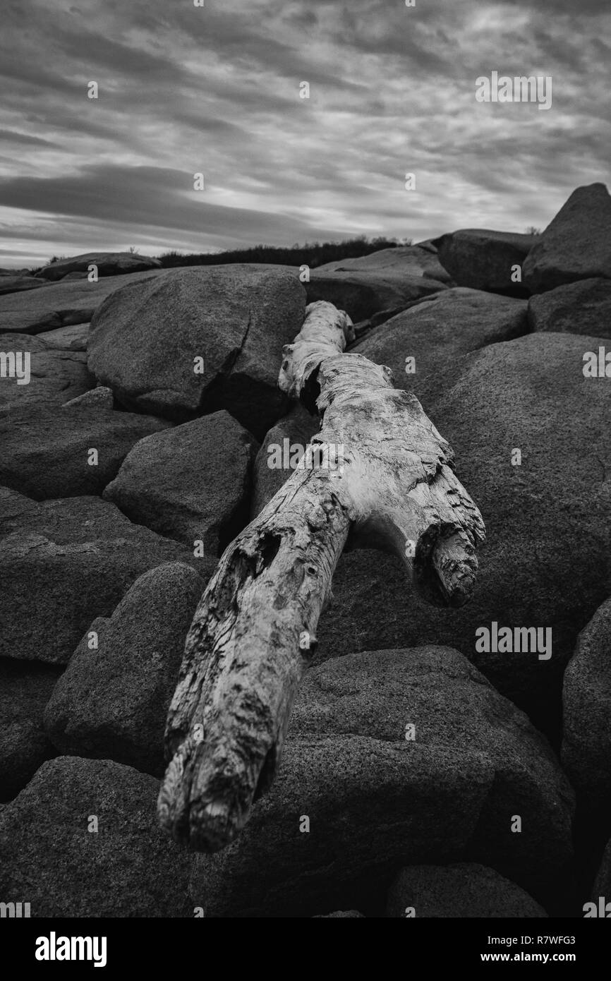 Massachusetts beach Black and White Stock Photos & Images - Alamy