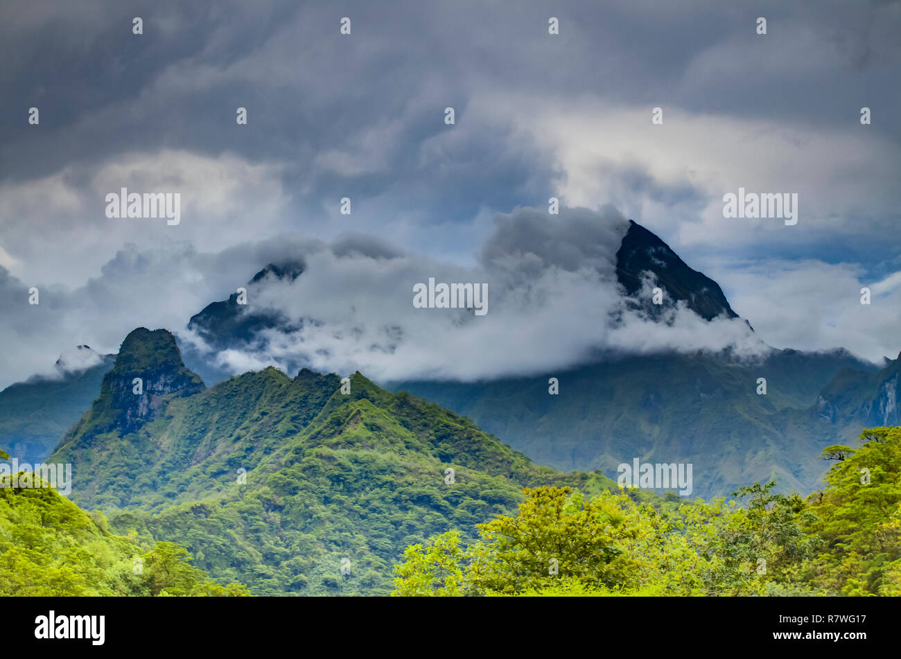 The valley of Papenoo, island of Tahiti, French Polynesia Stock Photo ...
