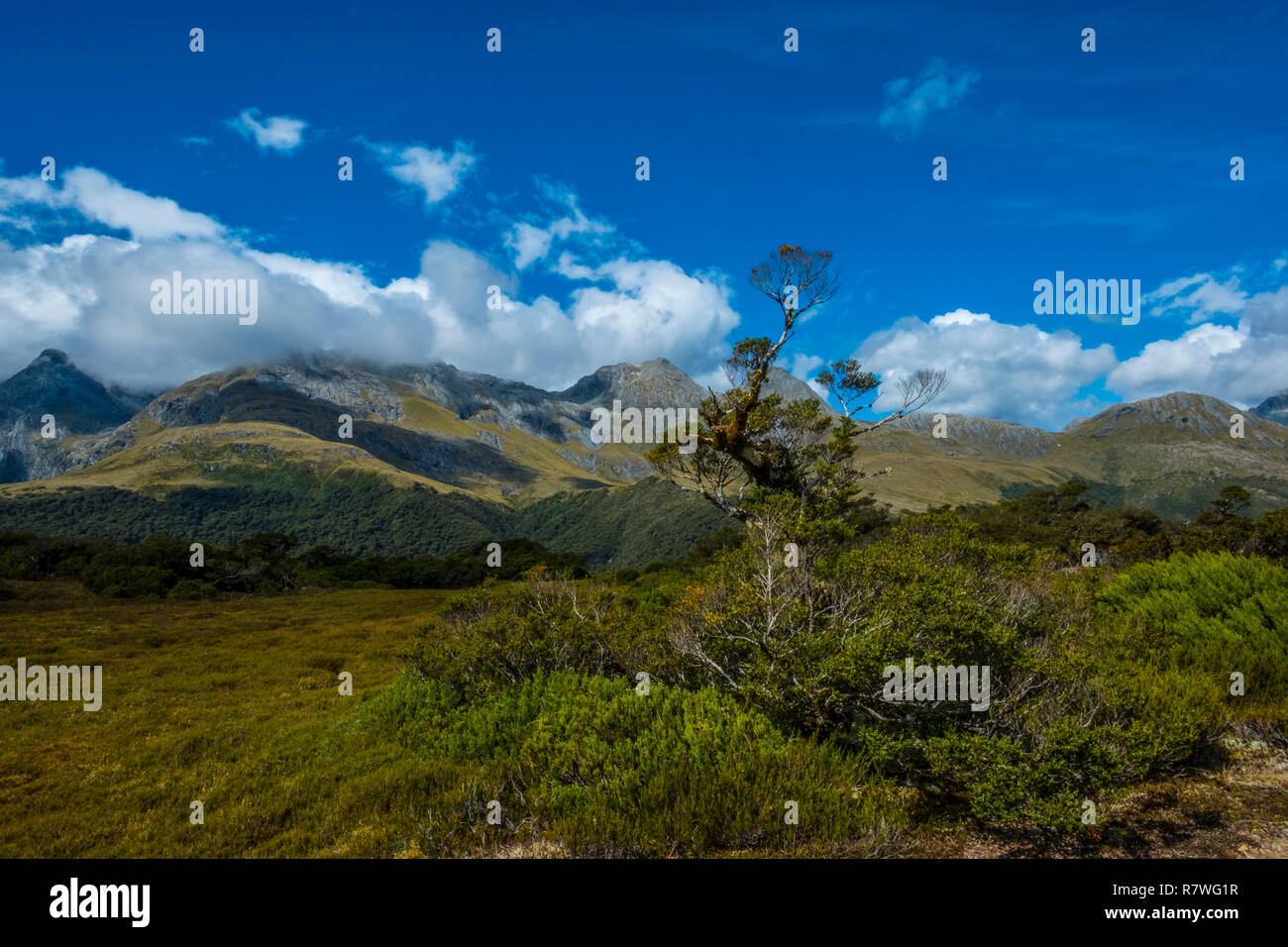Key Summit trek Stock Photo - Alamy