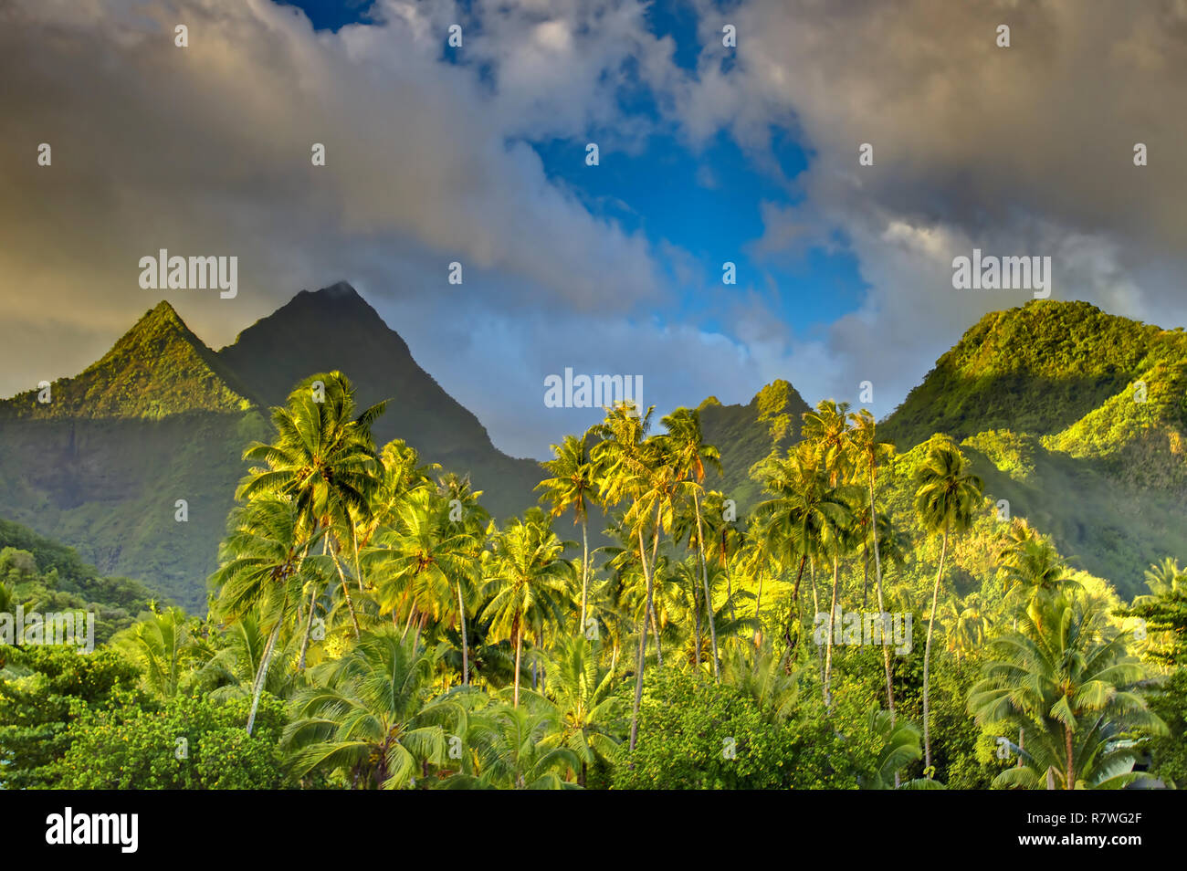 Mountain of Tahiti island, French Polynesia Stock Photo - Alamy