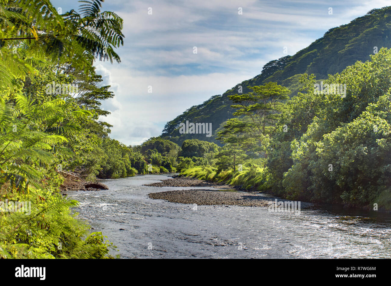 Tahiti french polynesia vegetation hi-res stock photography and images ...