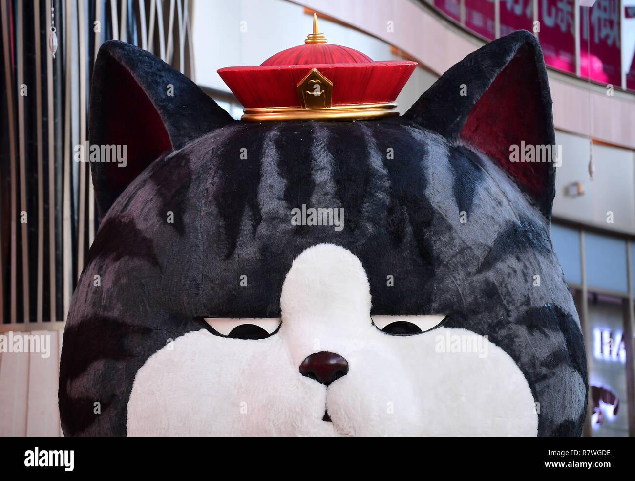 December 11, 2018 - Shenyan, Shenyan, China - Shenyang, CHINA- The 8 ...