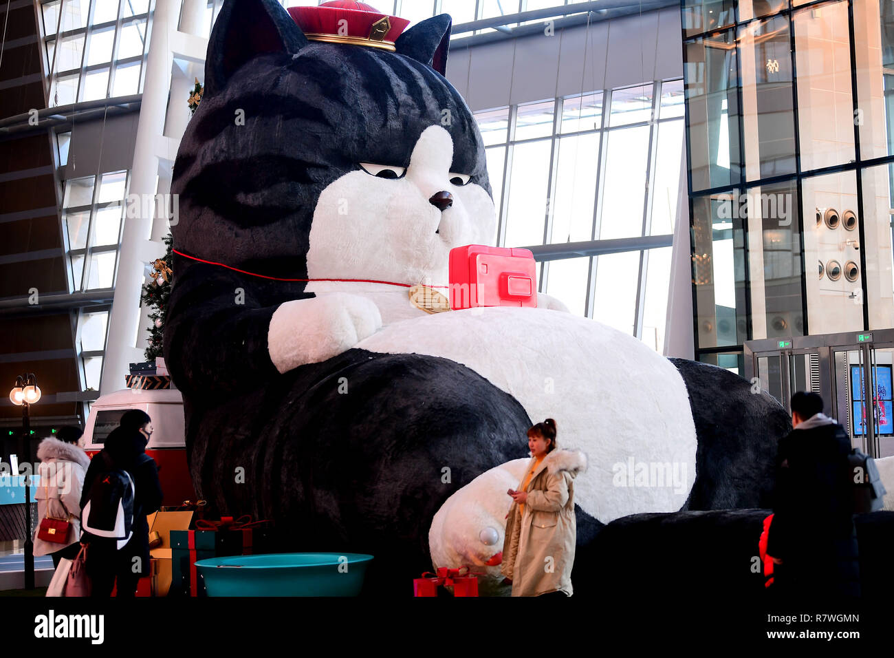 Shenyan, Shenyan, China. 11th Dec, 2018. Shenyang, CHINA- The 8-meter-tall cat toy can be seen ...