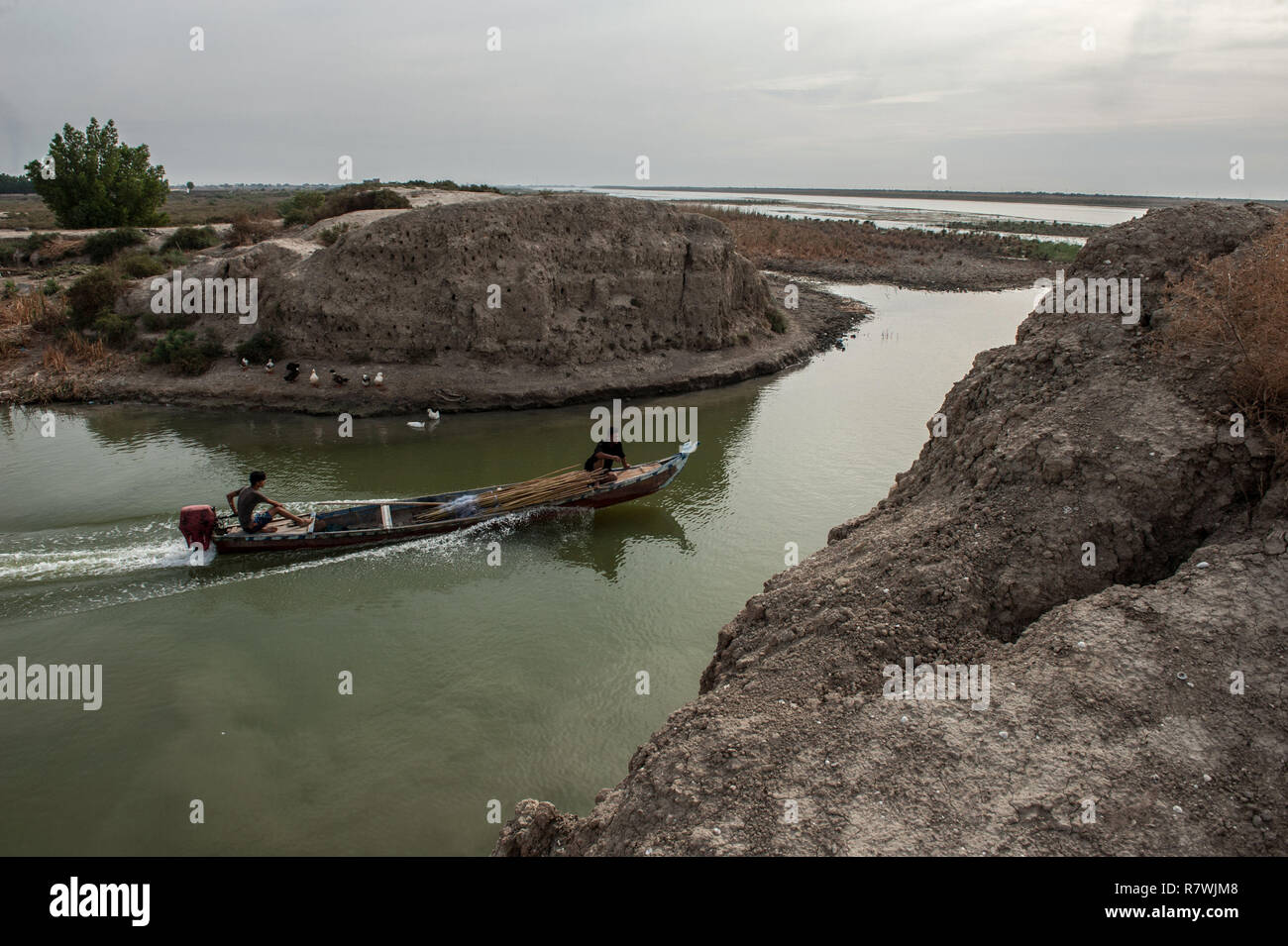 November 2, 2018 - Al-Chibayish, Marshes of Southern Iraq, Iraq - View ...