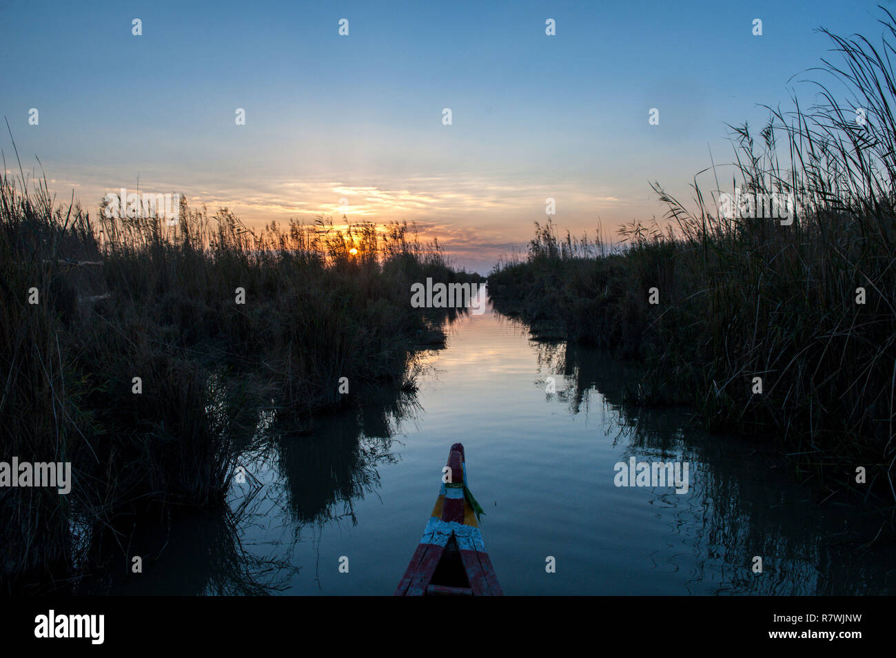 November 7, 2018 - Al-Chibayish, Marshes of Southern Iraq, Iraq - The ...