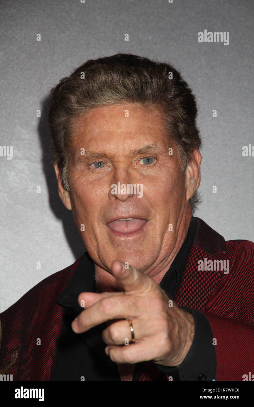 David Hasselhoff 12/10/2018 The World Premiere of "The Mule" held at ...