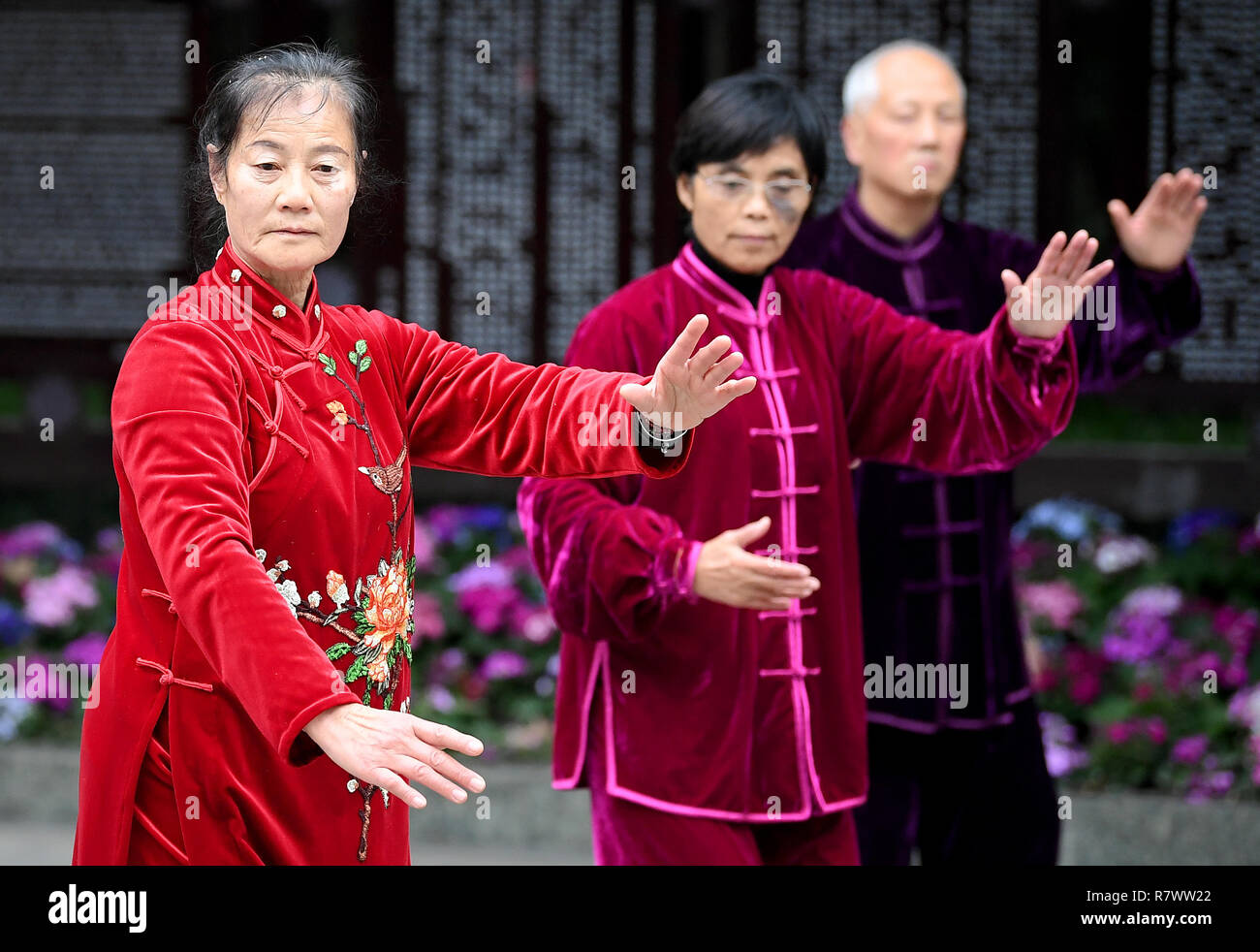 Chengdu, China. 07th Dec, 2018. A Tai Chi training group in the park ...