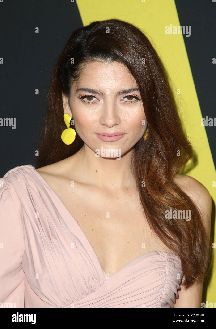 BEVERLY HILLS, CA - December 11: Blanca Blanco, at the Vice World ...