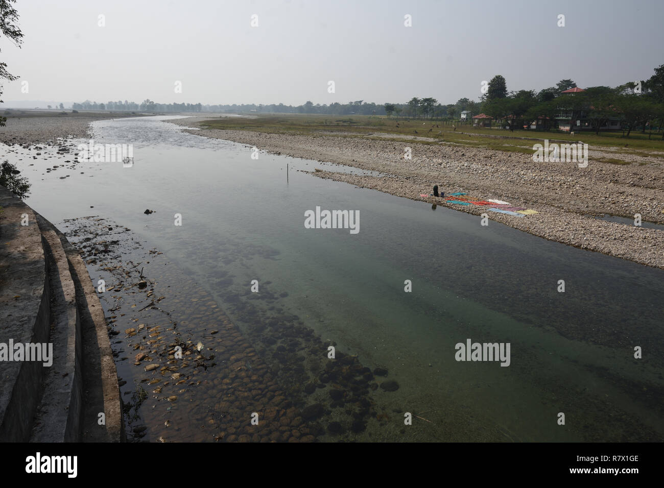 The gorumara national park hi-res stock photography and images - Alamy