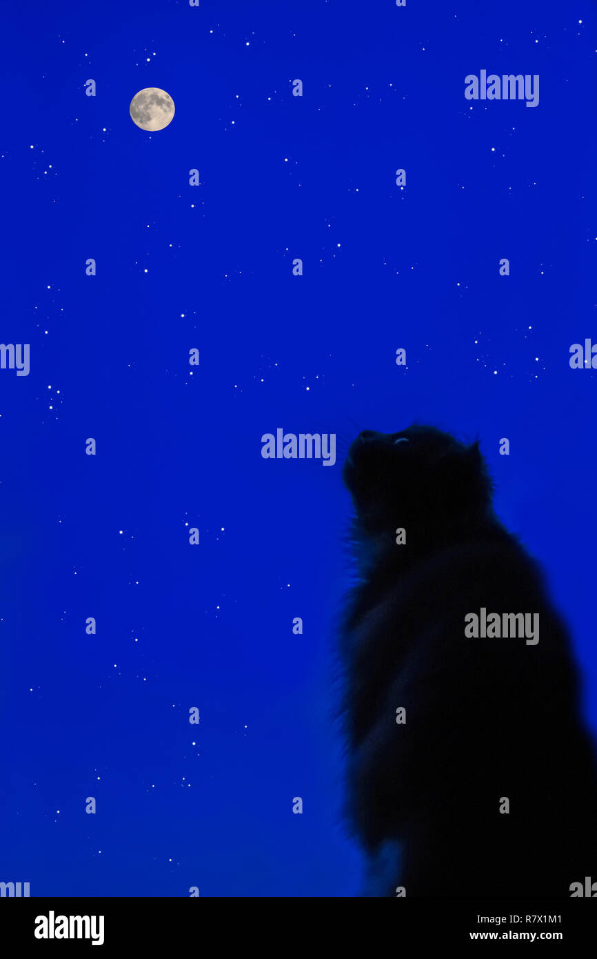 Night flight map hi-res stock photography and images - Alamy