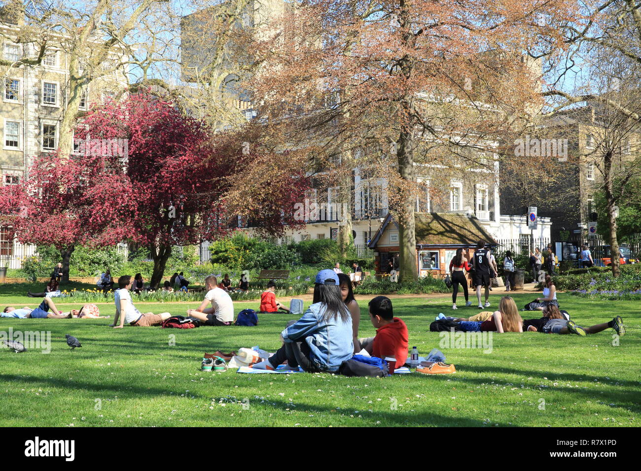 Gordon Square Gardens is part of the Bedford Estate in Bloomsbury, and ...