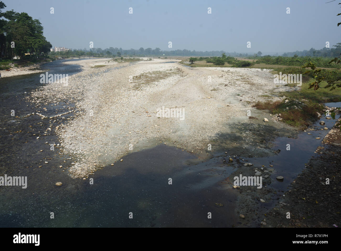 The gorumara national park hi-res stock photography and images - Alamy