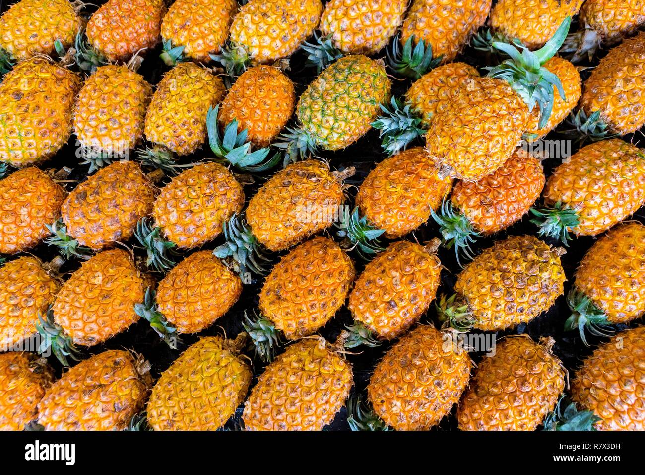 Azores Pineapple High Resolution Stock Photography and Images - Alamy