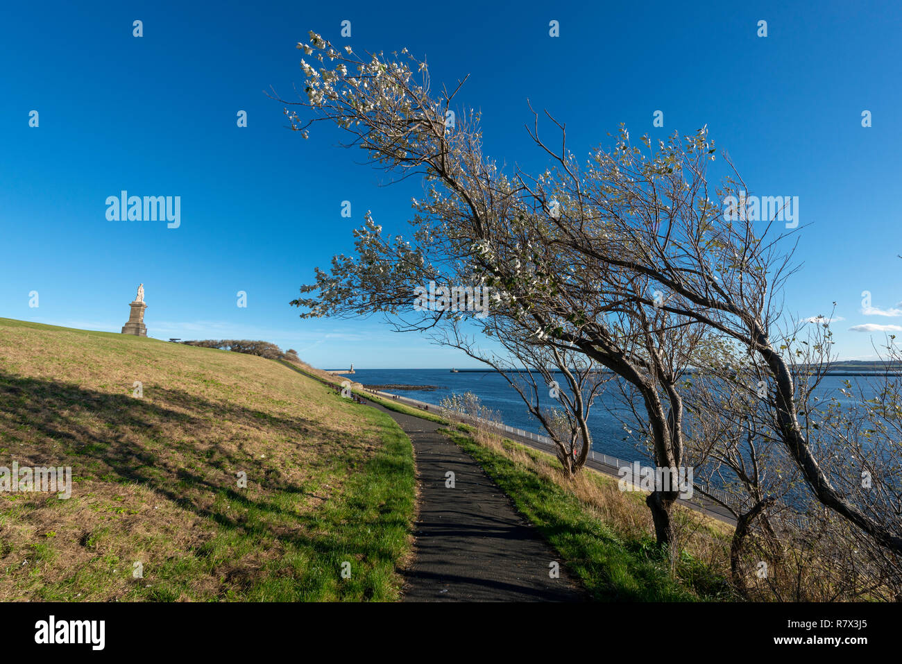 River tyne riverside pathway hi-res stock photography and images - Alamy