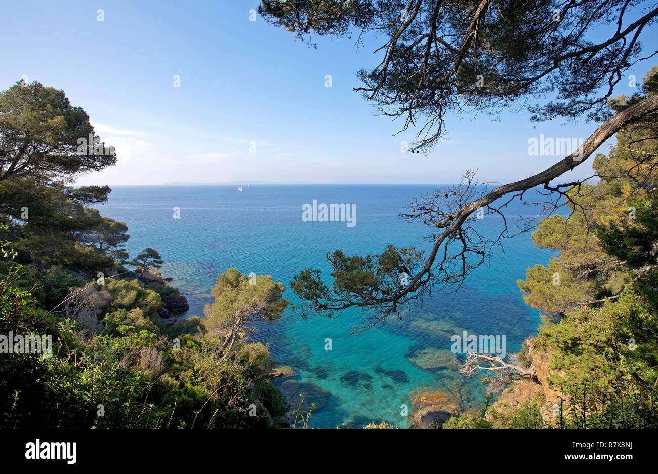 France, Var, Rayol Canadel sur Mer, domain of Rayol, a garden with ...