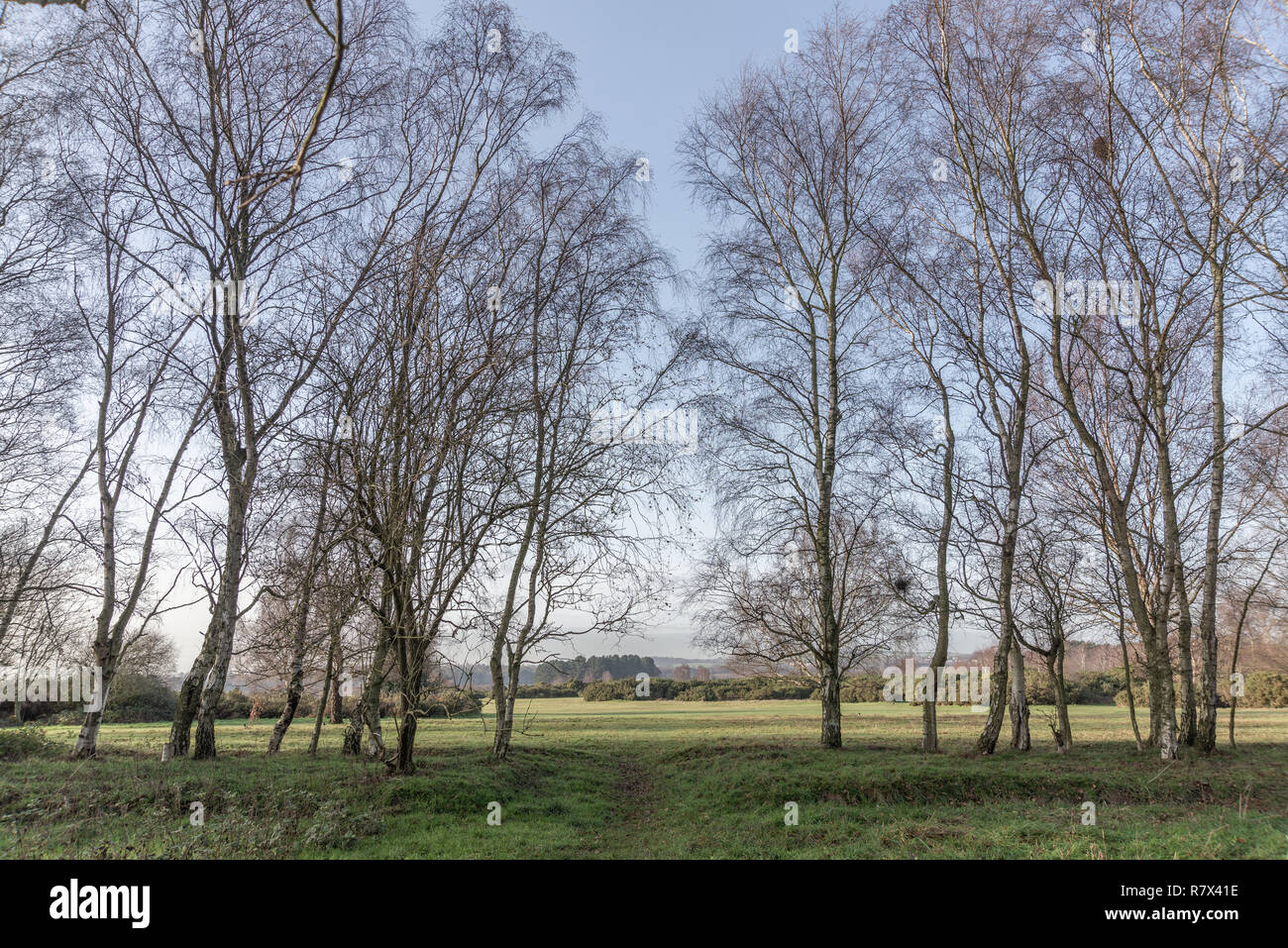 Great Barr from Holly Hurst Stock Photo - Alamy