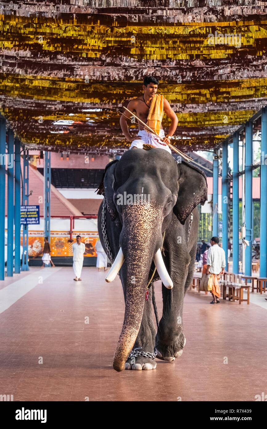 India, state of Kerala, Guruvayur, place of pilgrimage around Sri ...