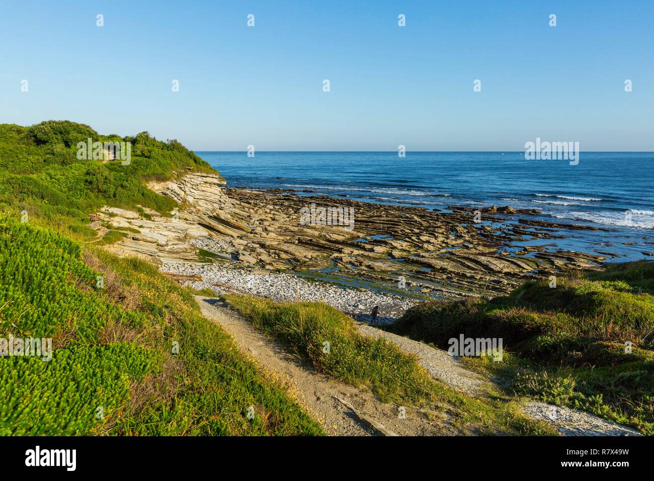 France, Pyrenees Atlantique, Pays Basque, Urrugne, the coastal path ...