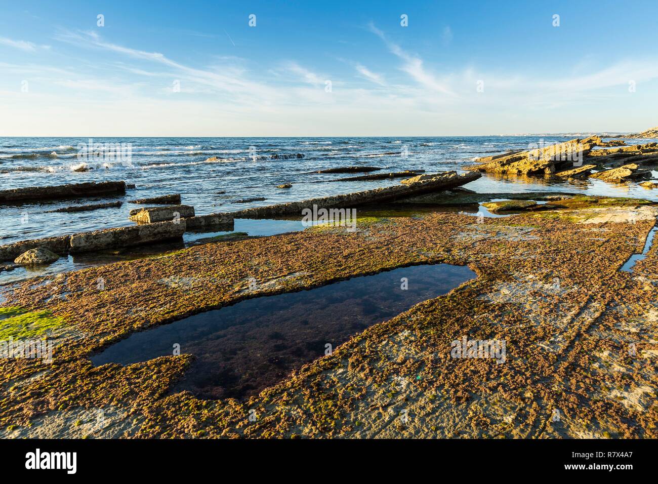 France, Pyrenees Atlantique, Pays Basque, Urrugne, the cliffs of Flysch ...