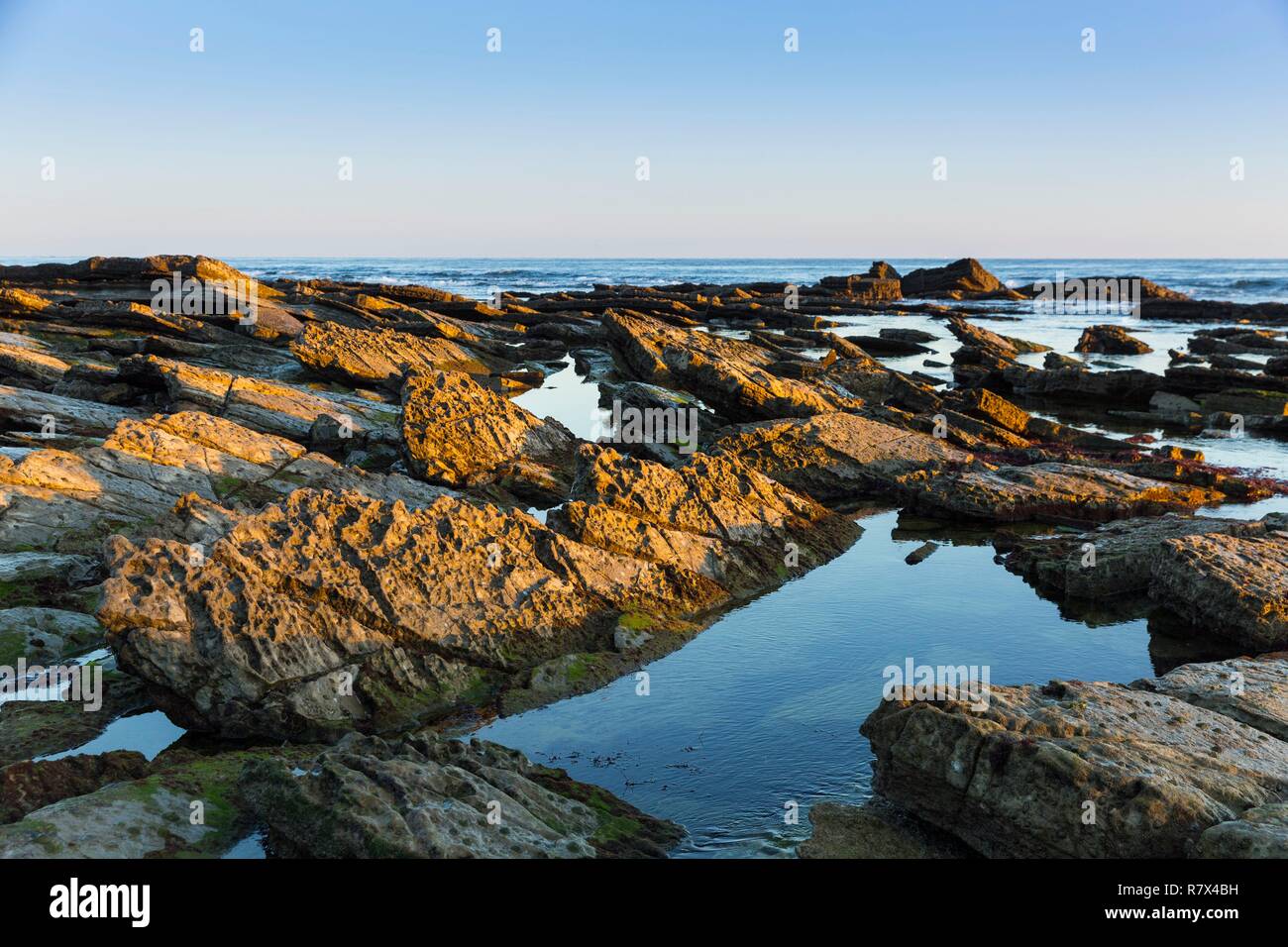 France, Pyrenees Atlantique, Pays Basque, Urrugne, the cliffs of Flysch ...