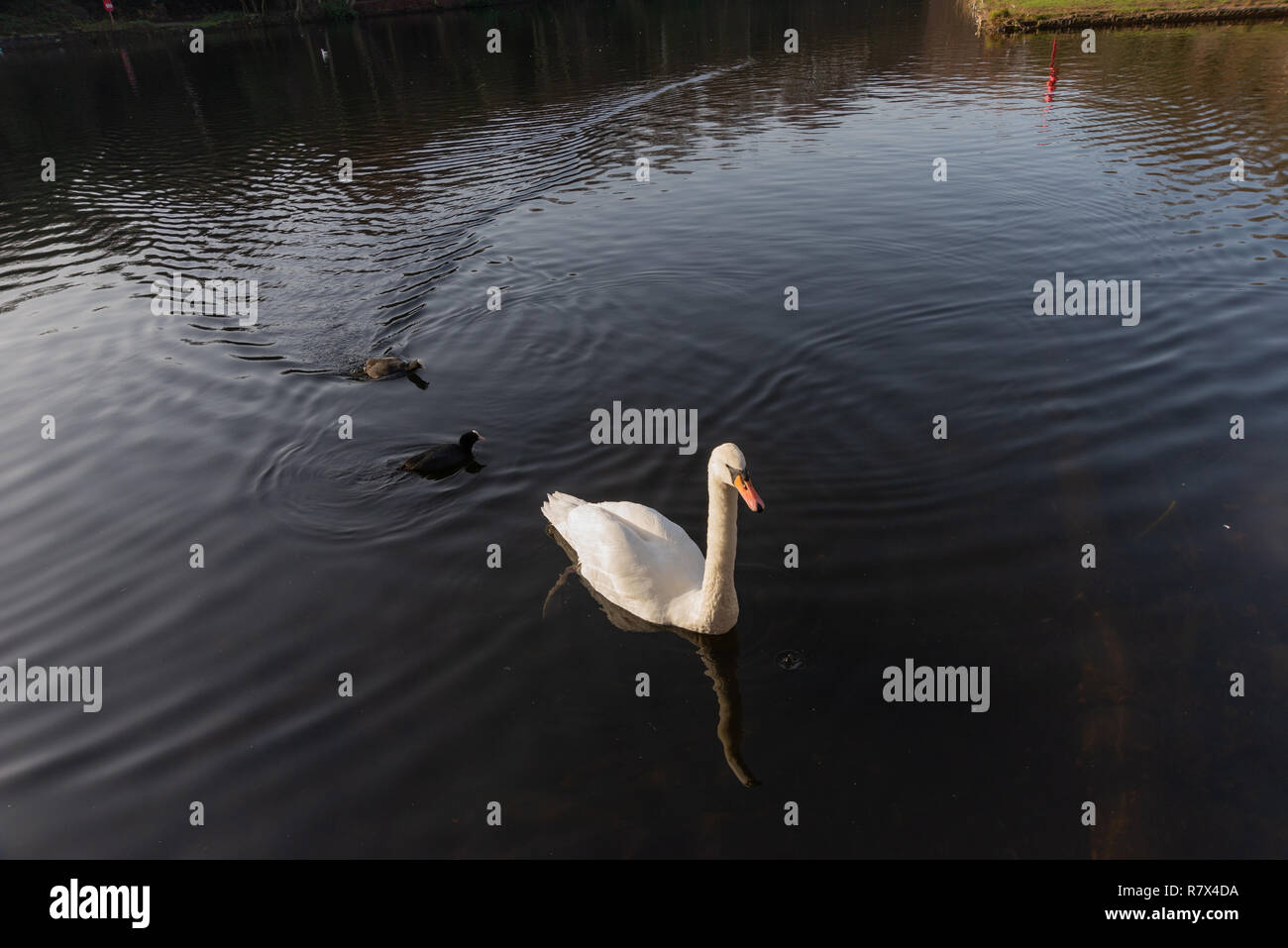 Sutton park keepers pool hi-res stock photography and images - Alamy