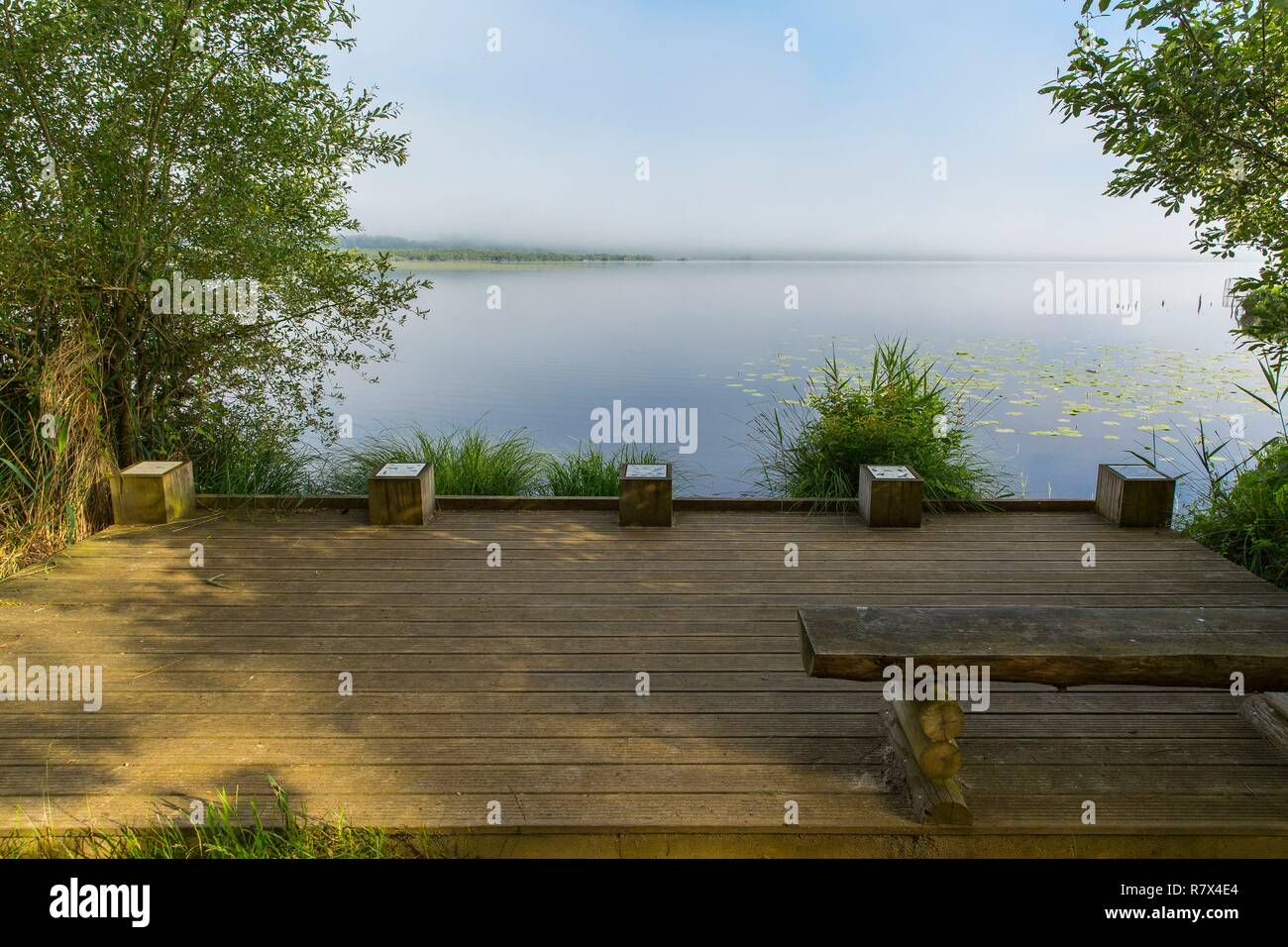 France, Landes, Leon, National Reserve of the Courant d'Huchet Stock ...