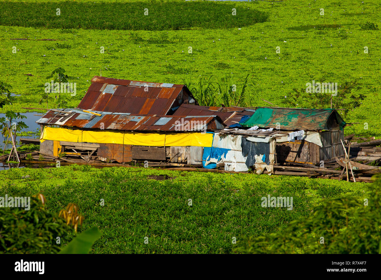 Belen ,a poor village in the beginning of Amazon river in Peru Stock ...