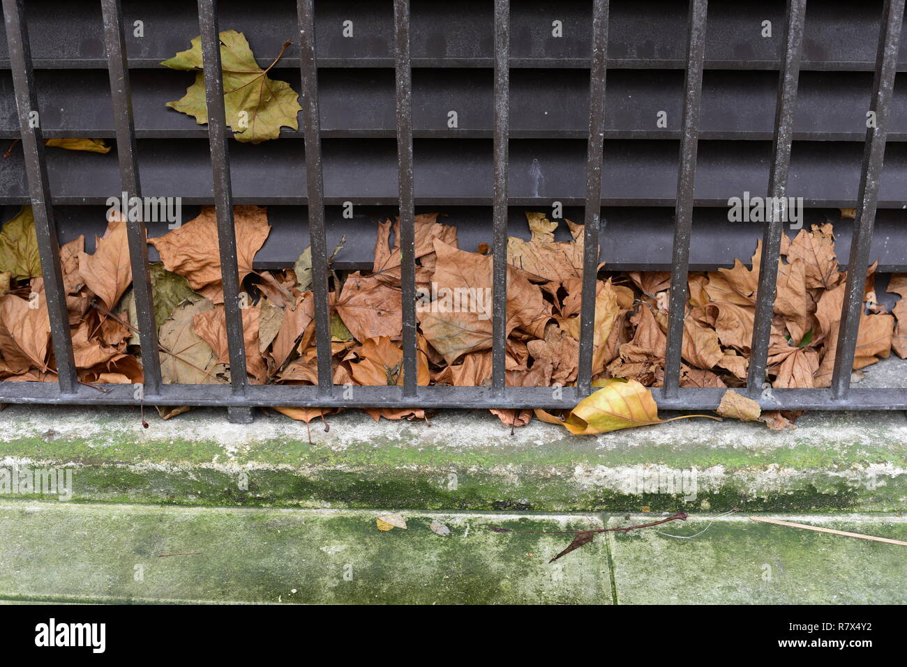 Fall leaves behind railing hi-res stock photography and images - Alamy