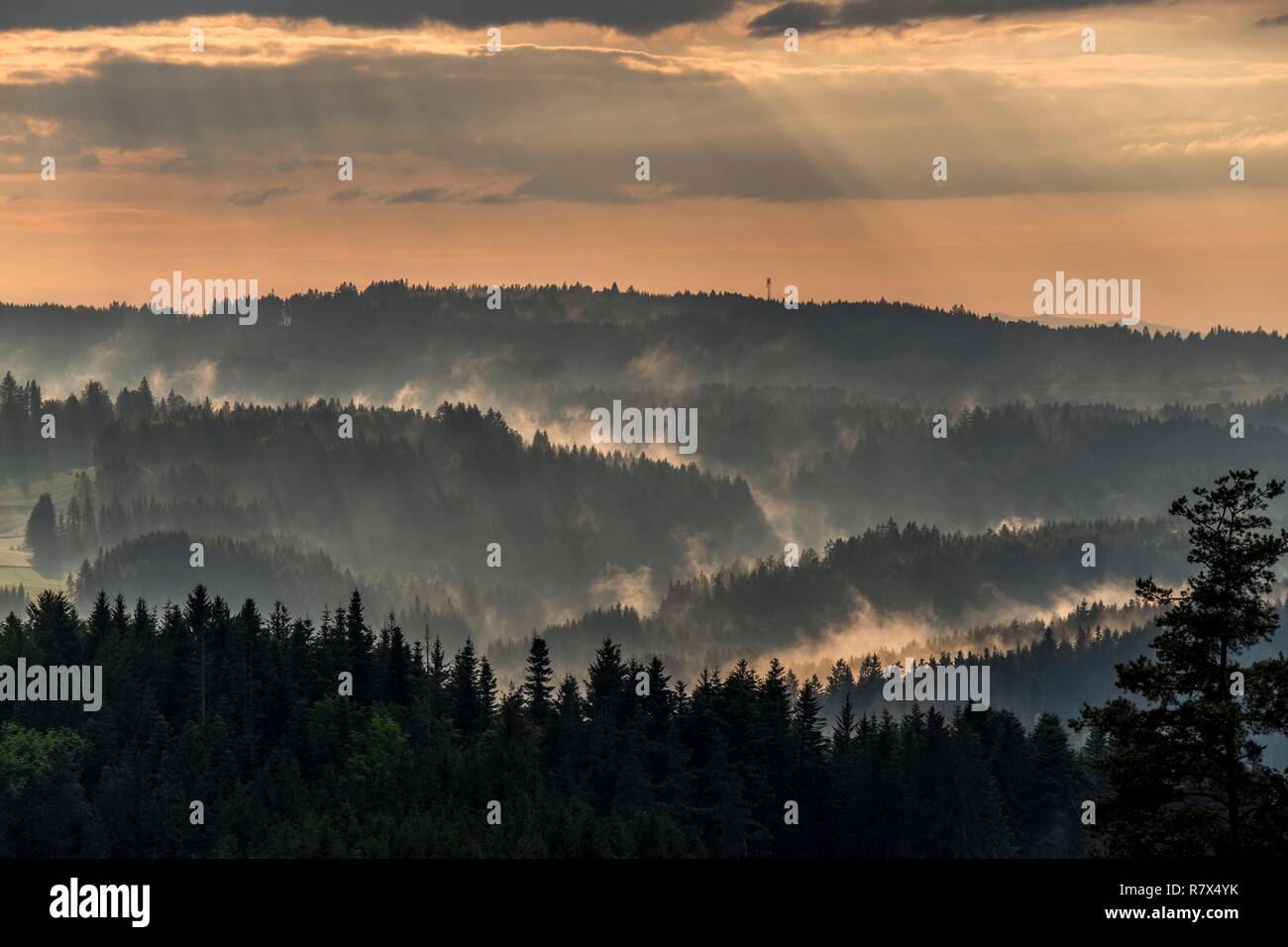 France, Haute Loire, Allegre, landscape of Parc naturel régional ...
