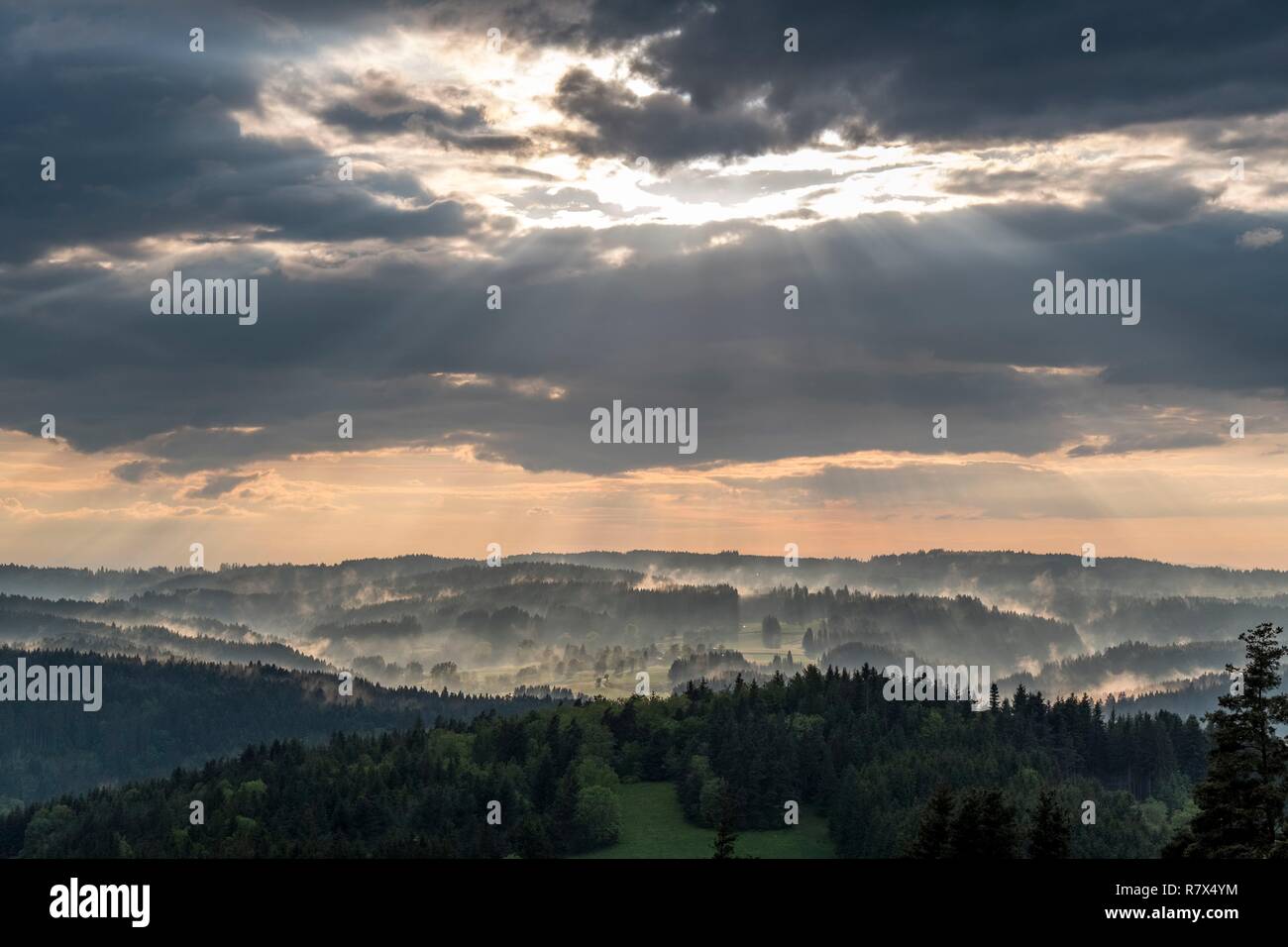 France, Haute Loire, Allegre, landscape of Parc naturel régional ...