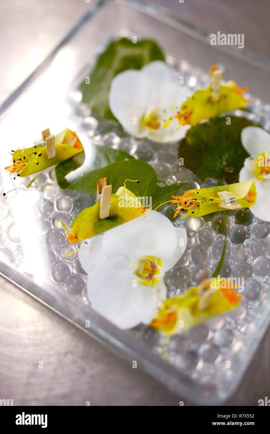 France, Paris, the upscale caterer Potel and Chabot, vegetable bite ...