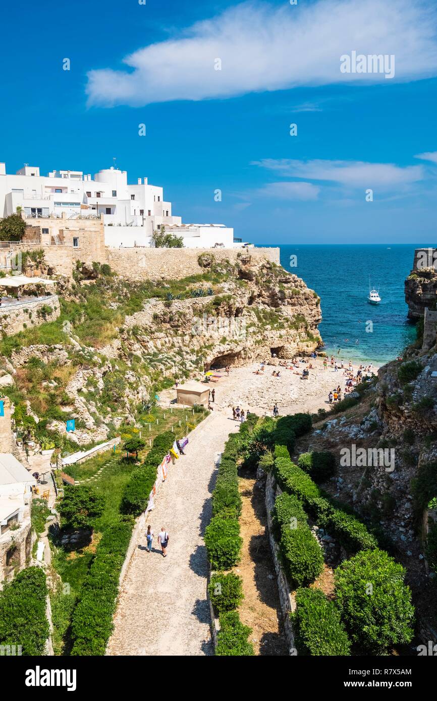 Lama monachile hi-res stock photography and images - Alamy